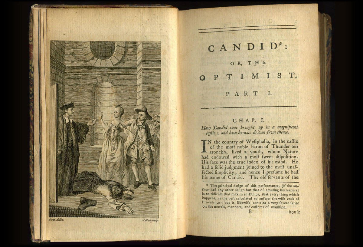 Voltaire: To Digital Citizen | Dustin Senger